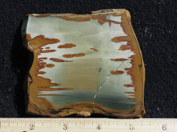 Owyhee Jasper Rock Slab 445 – DD Rocks