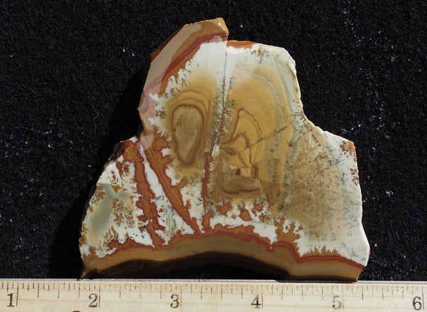 Owyhee Jasper Rock Slab 462 – DD Rocks