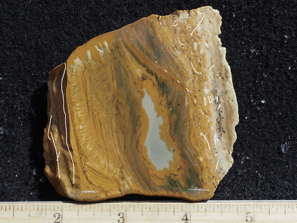Owyhee Jasper Rock Slab 463 – DD Rocks