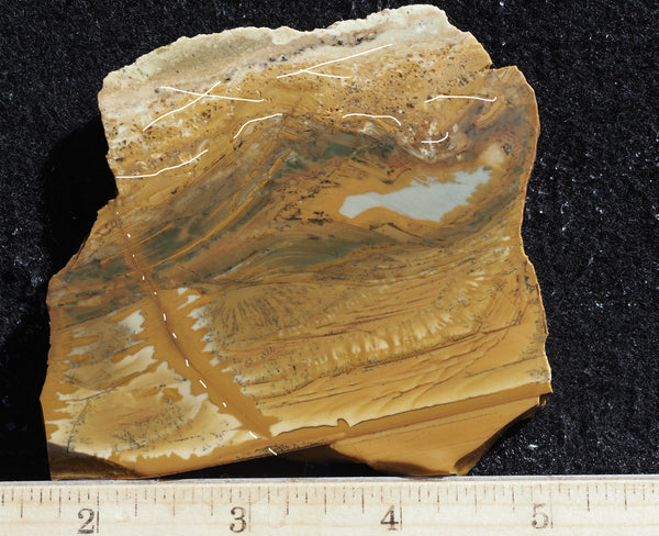 Owyhee Jasper Rock Slab 454 – DD Rocks