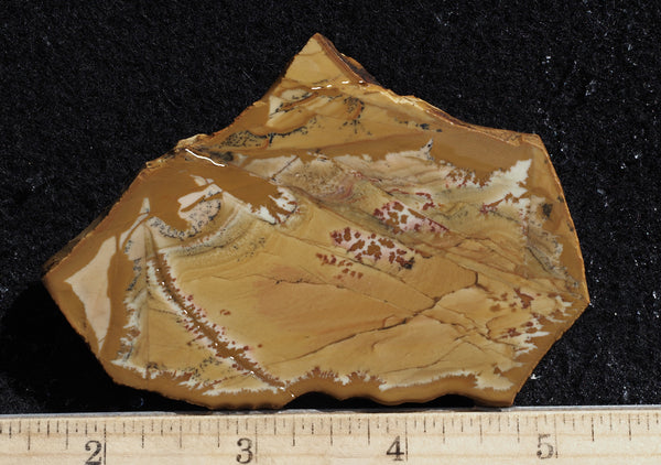 Owyhee Jasper Rock Slab 464 – DD Rocks