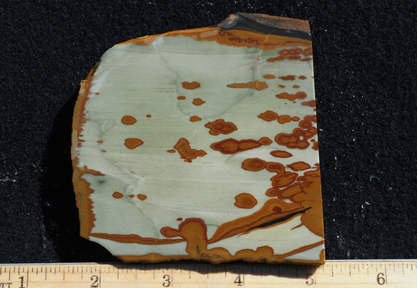 Owyhee Jasper Rock Slab 446 – DD Rocks
