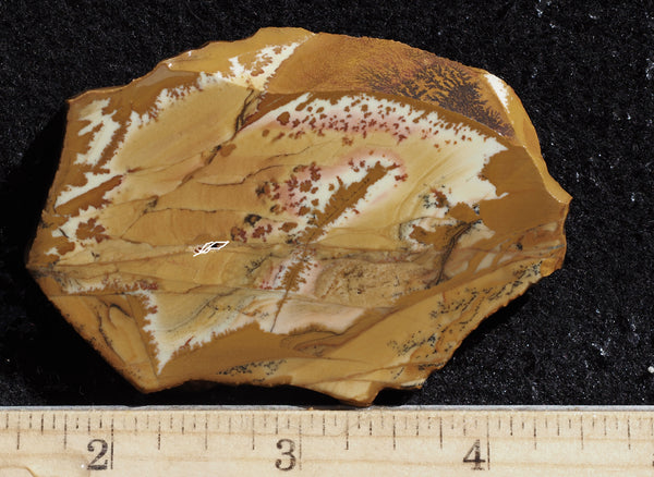 Owyhee Jasper Rock Slab 425 – DD Rocks