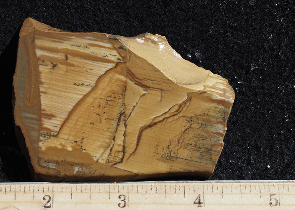 Owyhee Jasper Rock Slab 475 – DD Rocks
