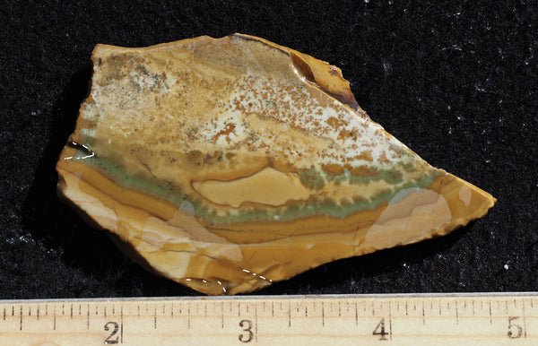 Owyhee Jasper Rock Slab 476 – DD Rocks