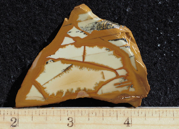Owyhee Jasper Rock Slab 473 – DD Rocks