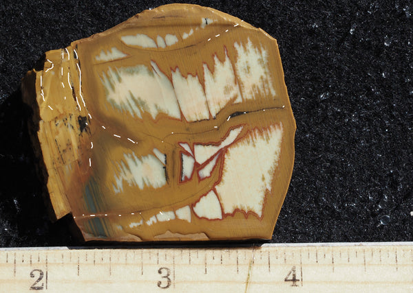 Owyhee Jasper Rock Slab 451 – DD Rocks