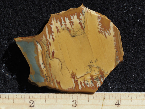 Owyhee Jasper Rock Slab 423 – DD Rocks