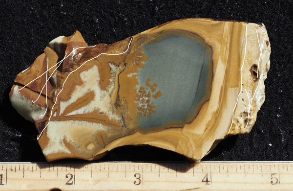 Owyhee Jasper Rock Slab 416 – DD Rocks