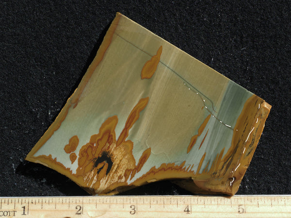 Owyhee Jasper Rock Slab 434 – DD Rocks