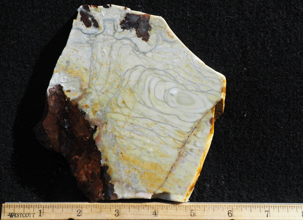 Willow Creek Jasper Rock Slab 818 – DD Rocks