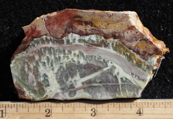 Willow Creek Jasper Rock Slab 834 – DD Rocks