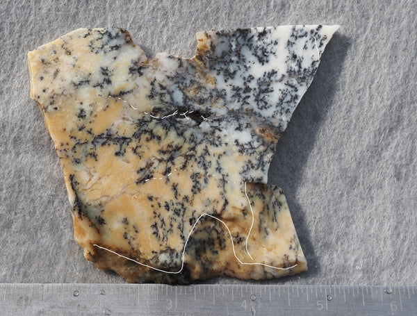 Australian Dendritic Opal Rock Slab 59 – DD Rocks