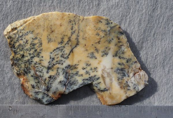 Australian Dendritic Opal Rock Slab 58 – DD Rocks
