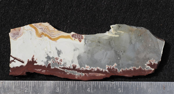 Sonoran Dendritic Rhyolite Rock Slab 482 – DD Rocks