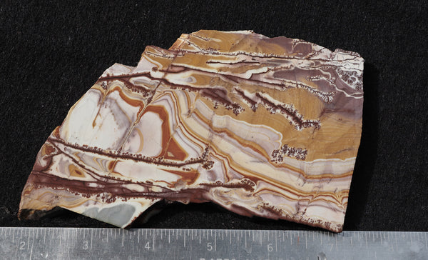 Sonoran Dendritic Rhyolite Slab 22 – DD Rocks