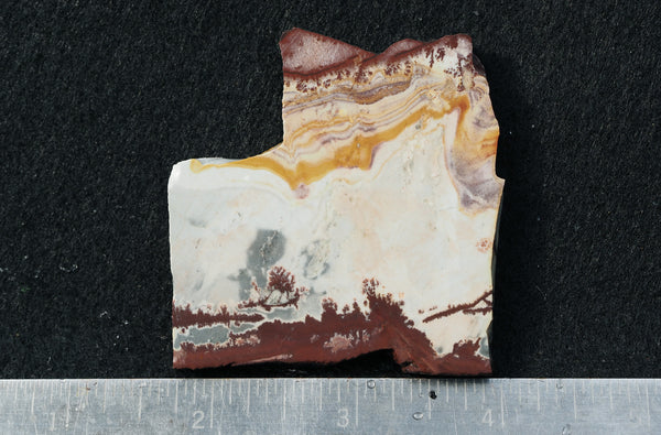 Sonoran Dendritic Rhyolite Rock Slab 466 – DD Rocks