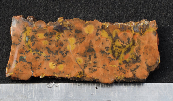 Tiger Tail Rock Slab 77 – DD Rocks