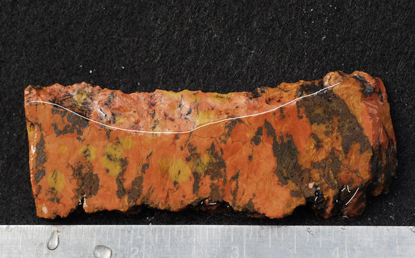 Tiger Tail Rock Slab 60 – DD Rocks