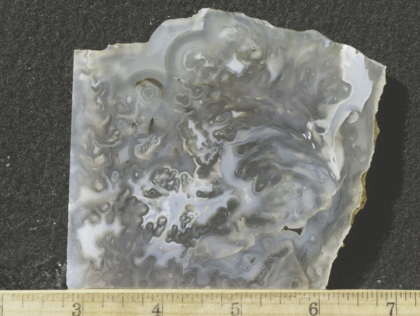 Ochoco Tube Agate 457 – DD Rocks