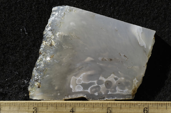 Ochoco Tube Agate 493 – DD Rocks