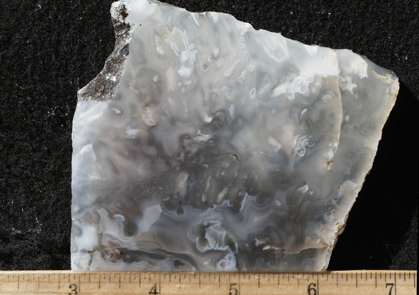 Ochoco Tube Agate 458 – DD Rocks