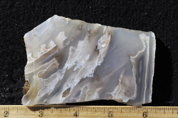 Ochoco Tube Agate 459 – DD Rocks