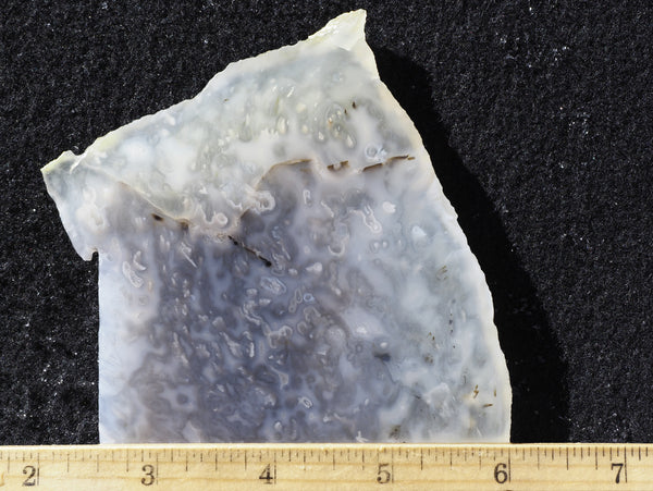 Ochoco Tube Agate 488 – DD Rocks