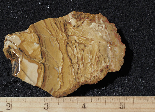 Oregon Picture Jasper Rock Slab 496 – DD Rocks