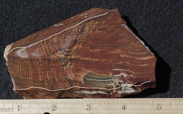 Biggs Jasper Rock Slab 495 – DD Rocks