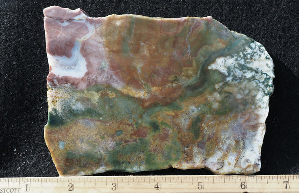Fancy Jasper Rock Slab 494 – DD Rocks