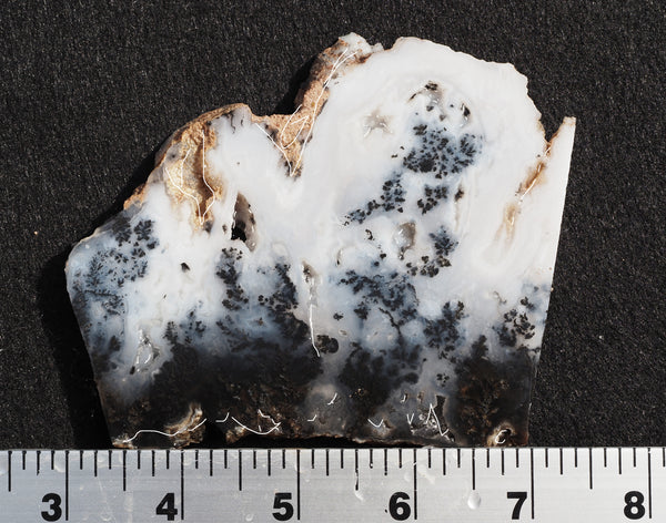 Graveyard Point Plume Agate Rock Slab 0402 – DD Rocks