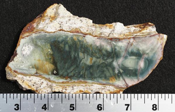 Morrisonite Jasper Rock Slab 289 – DD Rocks