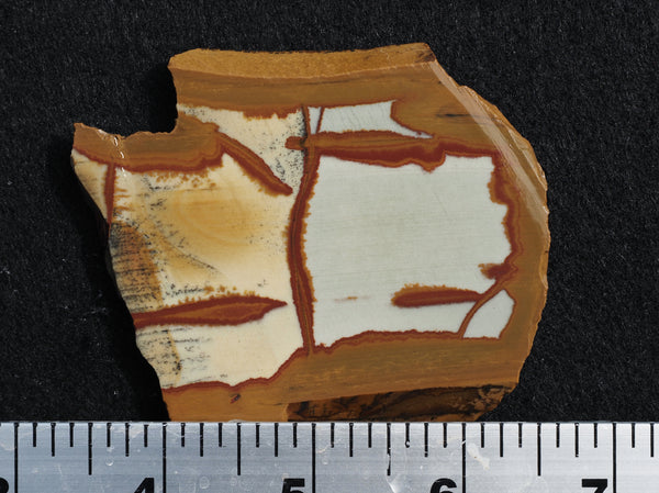 Owyhee Jasper Slab 0026 – DD Rocks