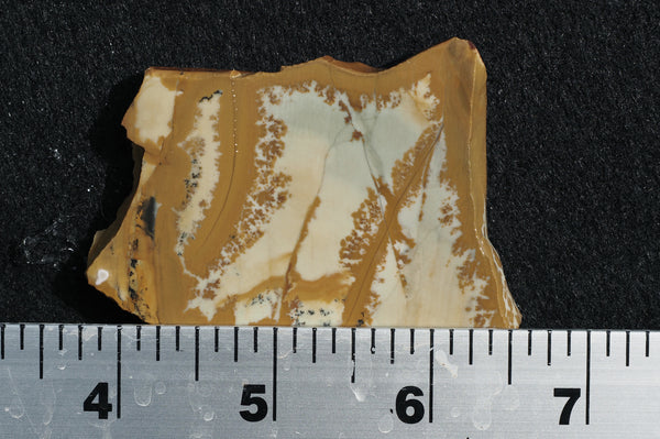 Owyhee Jasper Slab 0034 – DD Rocks