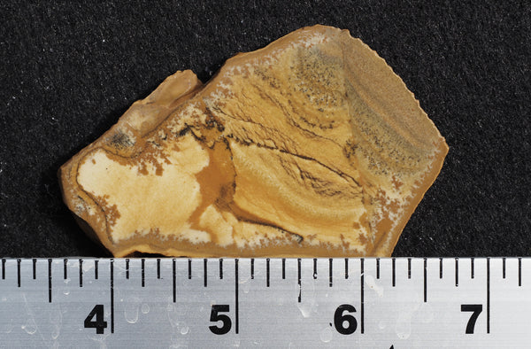 Owyhee Jasper Slab 0033 – DD Rocks