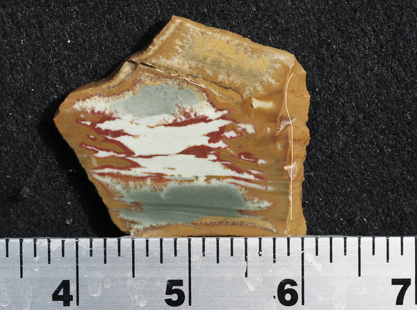Owyhee Jasper Rock Slab 491 – DD Rocks