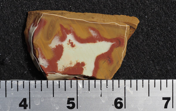 Owyhee Jasper Rock Slab 499 – DD Rocks