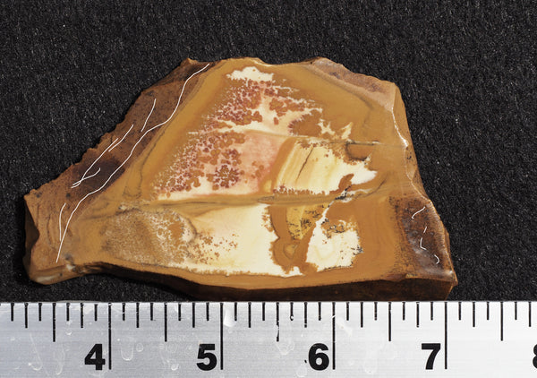Owyhee Jasper Slab 0036 – DD Rocks