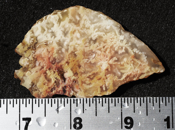 Feather Ridge Plume Agate Rock Slab 25 – DD Rocks