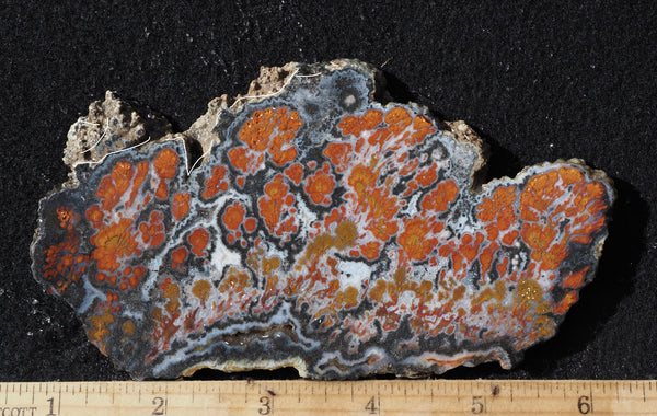 Wingate Rock Slab 360 – DD Rocks