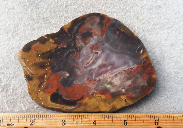 Amazon Basin Valley Jasper 446 – DD Rocks