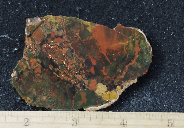 Whiskey Creek Jasper Rock Slab 141 – DD Rocks