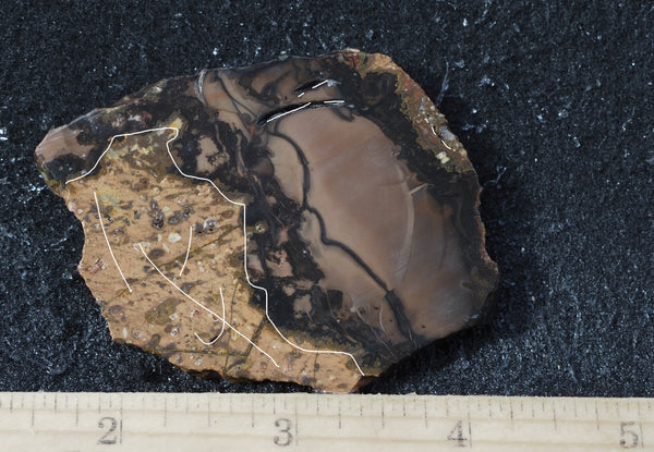 Whiskey Creek Jasper Rock Slab 154 – DD Rocks