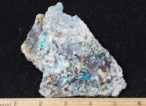 Dendritic Copper Chrysocolla 48 – DD Rocks