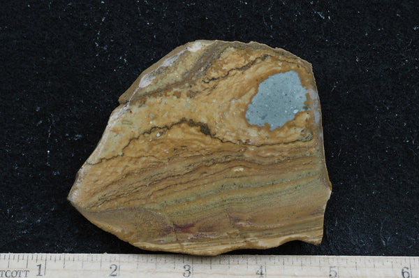 Owyhee Jasper Rock Slab 412 – DD Rocks