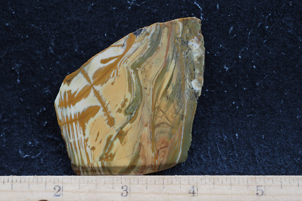 Owyhee Jasper Rock Slab 404 – DD Rocks