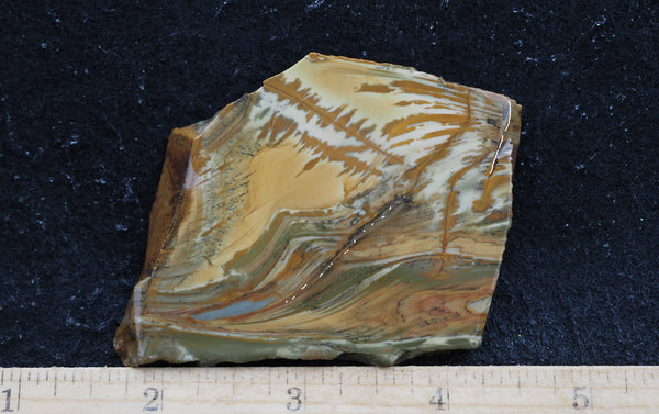 Owyhee Jasper Rock Slab 409 – DD Rocks