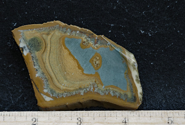 Owyhee Jasper Rock Slab 410 – DD Rocks