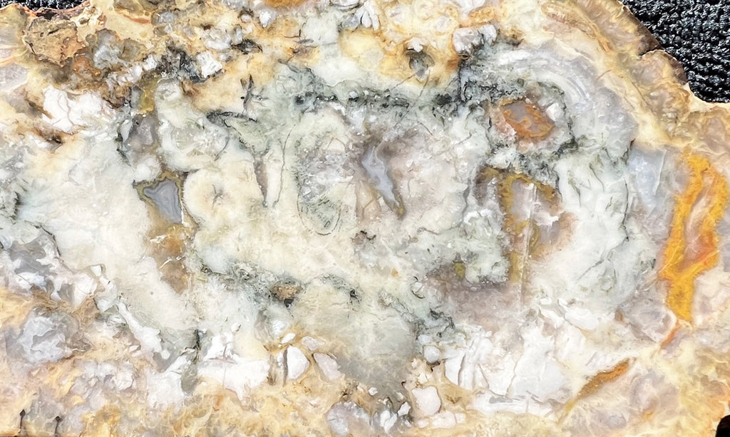 Coprolite Rock Slab 02 – DD Rocks